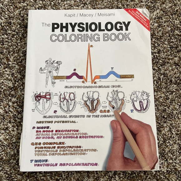 Other | The Physiology Coloring Book | Poshmark